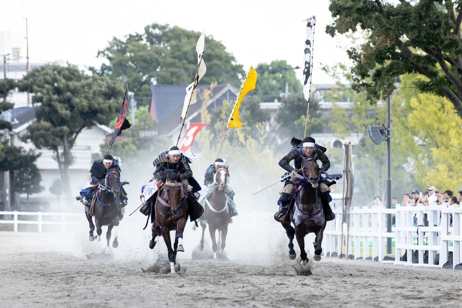 JRA馬事公苑で開催された「愛馬の日」イベント | 北海道 育成牧場 株式会社エクワインレーシング 公式サイト