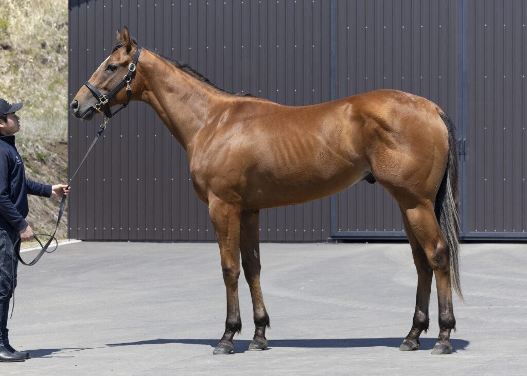 フローリーチェーン | 北海道 育成牧場 株式会社エクワインレーシング 公式サイト